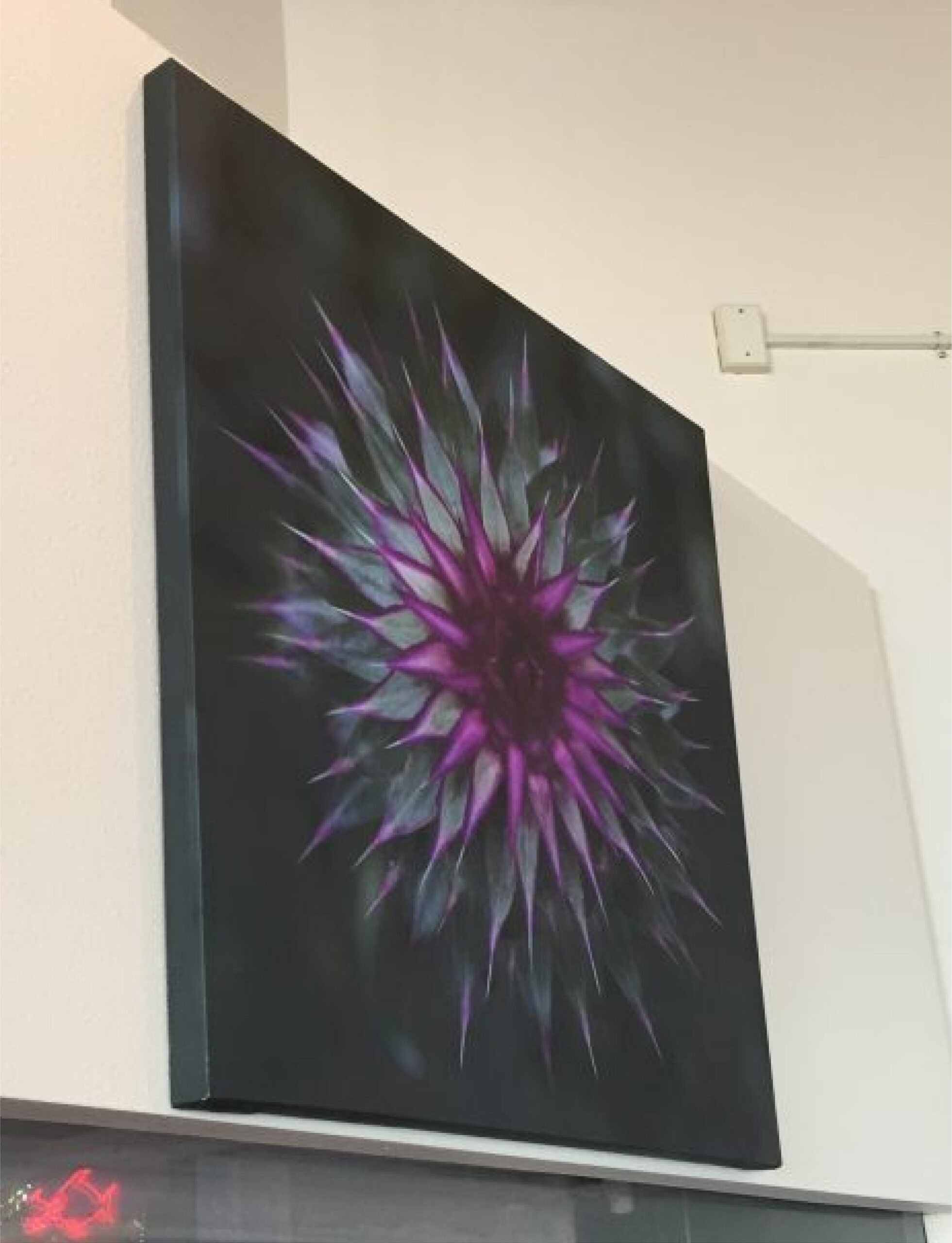 Canvas - Gallery