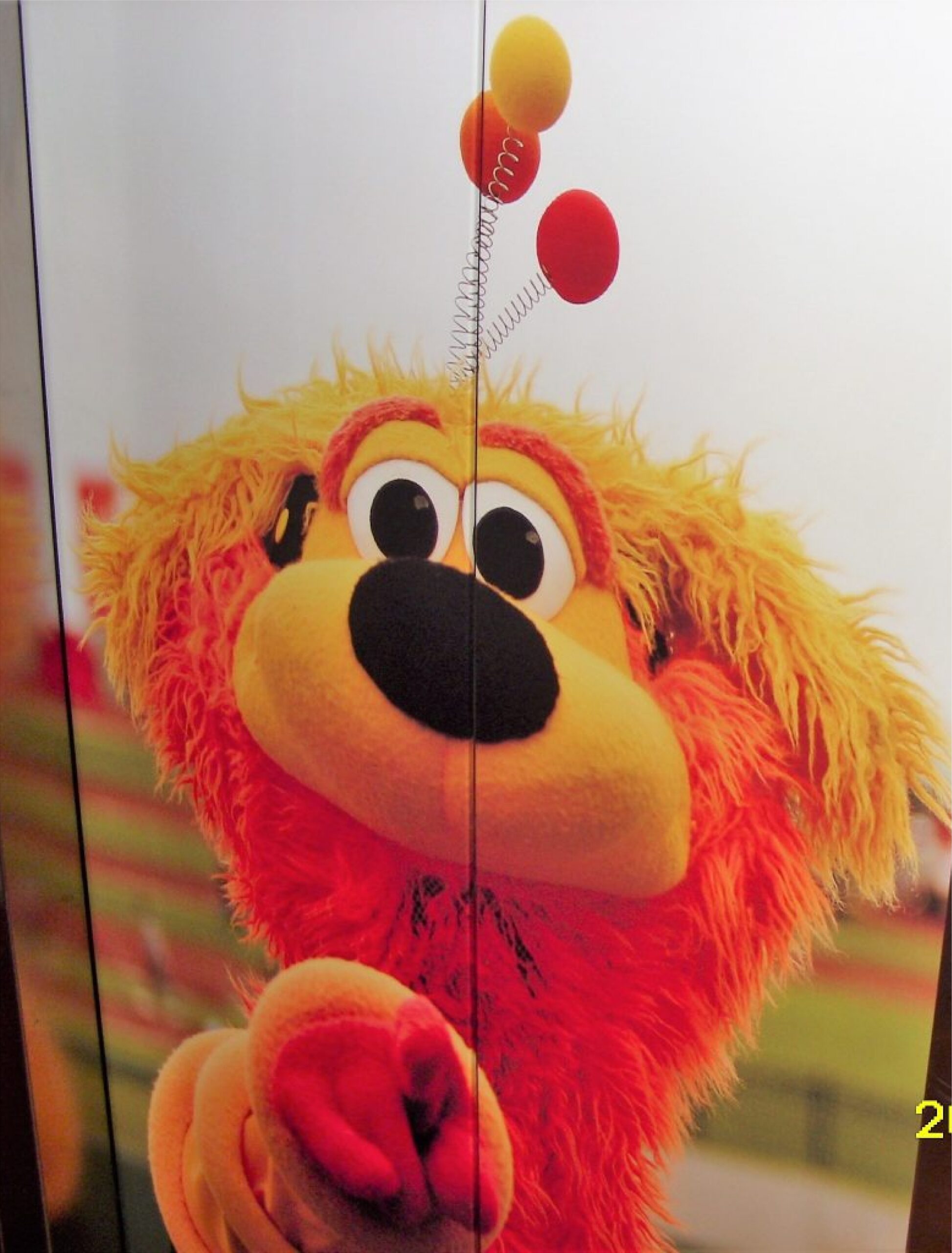 Wrap Graphics - Gallery